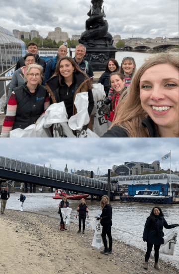 Bidpath Sustainability Hub | Bidpath